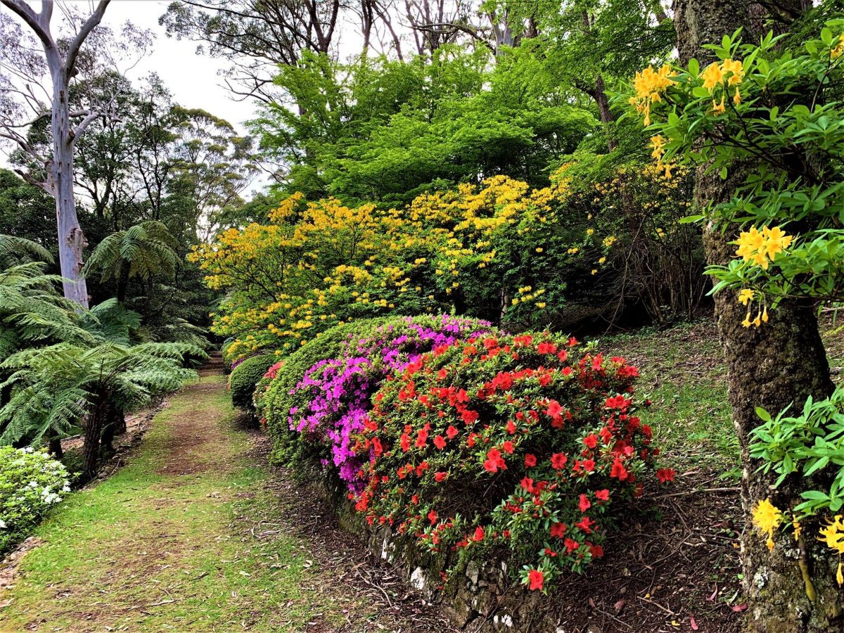 Breenhold Gardens, Mount Wilson, Blue Mountains, NSW Australia